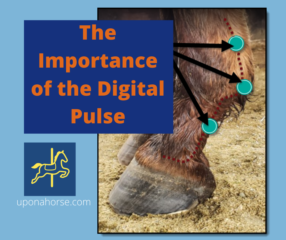 Digital Pulse - Upon a Horse